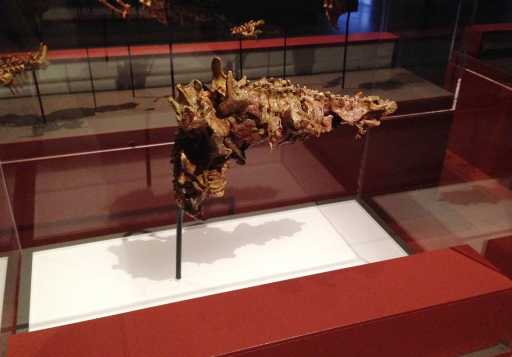 David Cronenberg 'The Exhibition' - 200percentmag